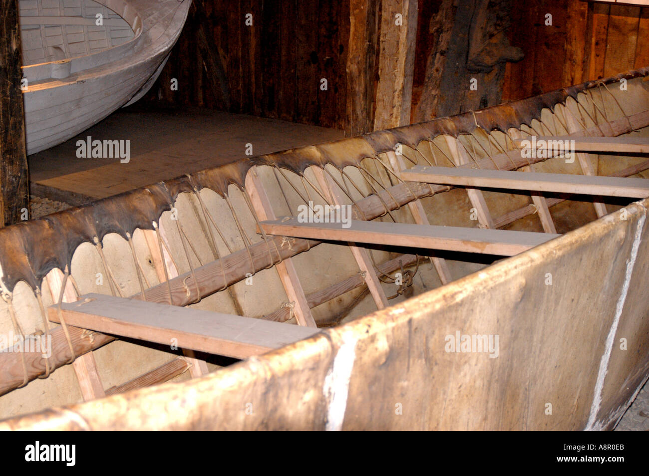 Walrus skin hi-res stock photography and images - Alamy