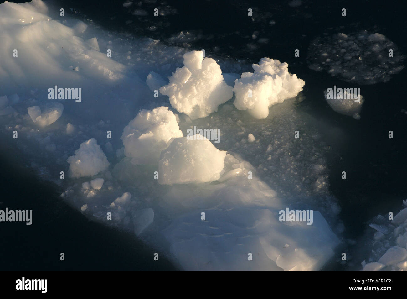 Growler ice hi-res stock photography and images - Alamy