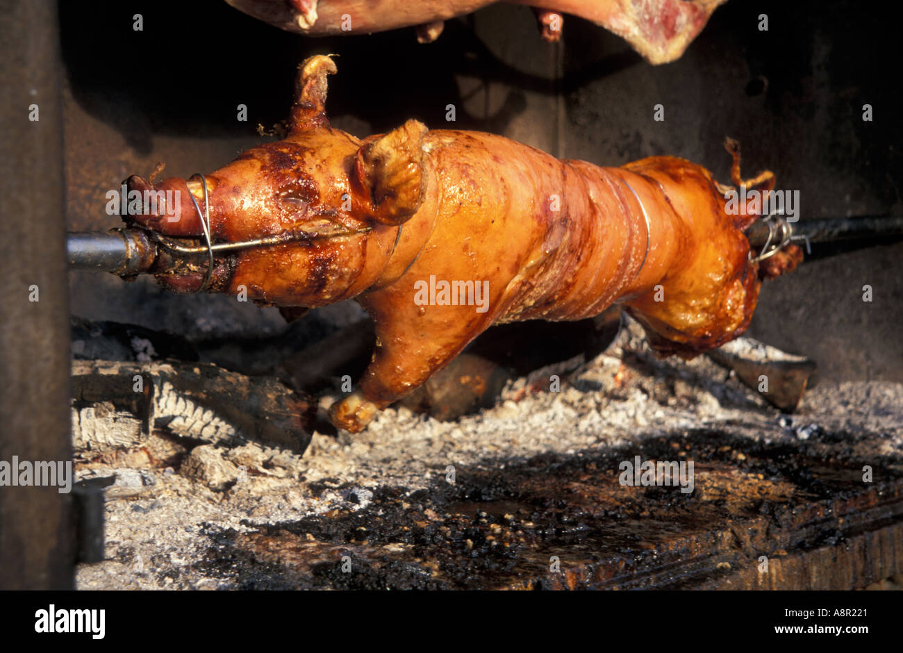 Roasted suckling pigs hi-res stock photography and images - Alamy