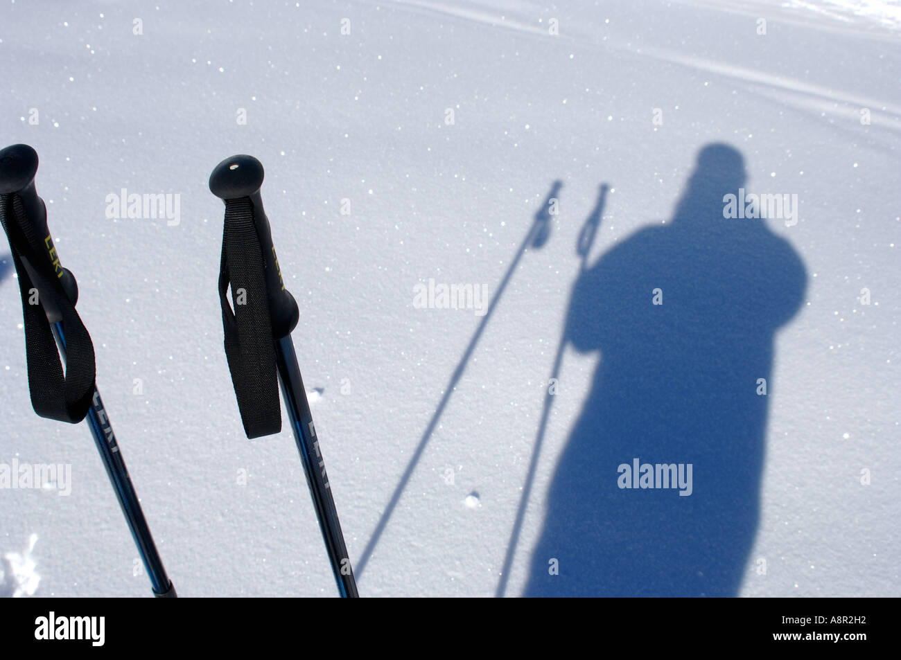 Ski poles silhouette hi-res stock photography and images - Alamy