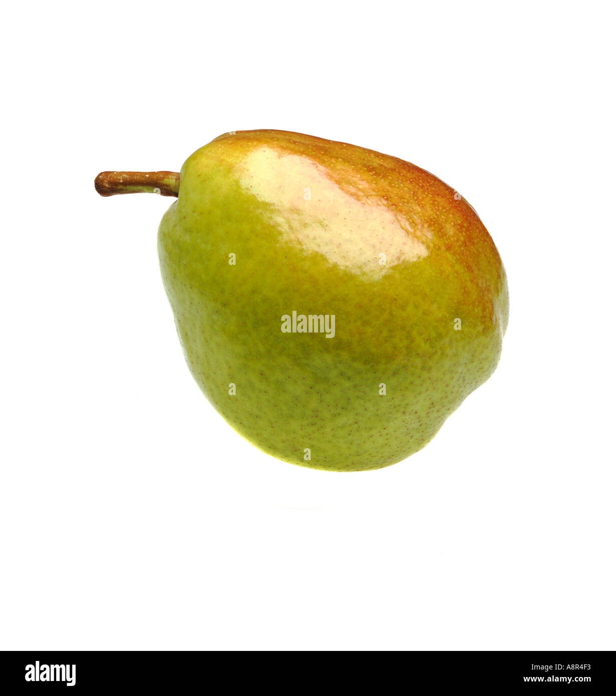 comice pear white background Stock Photo - Alamy