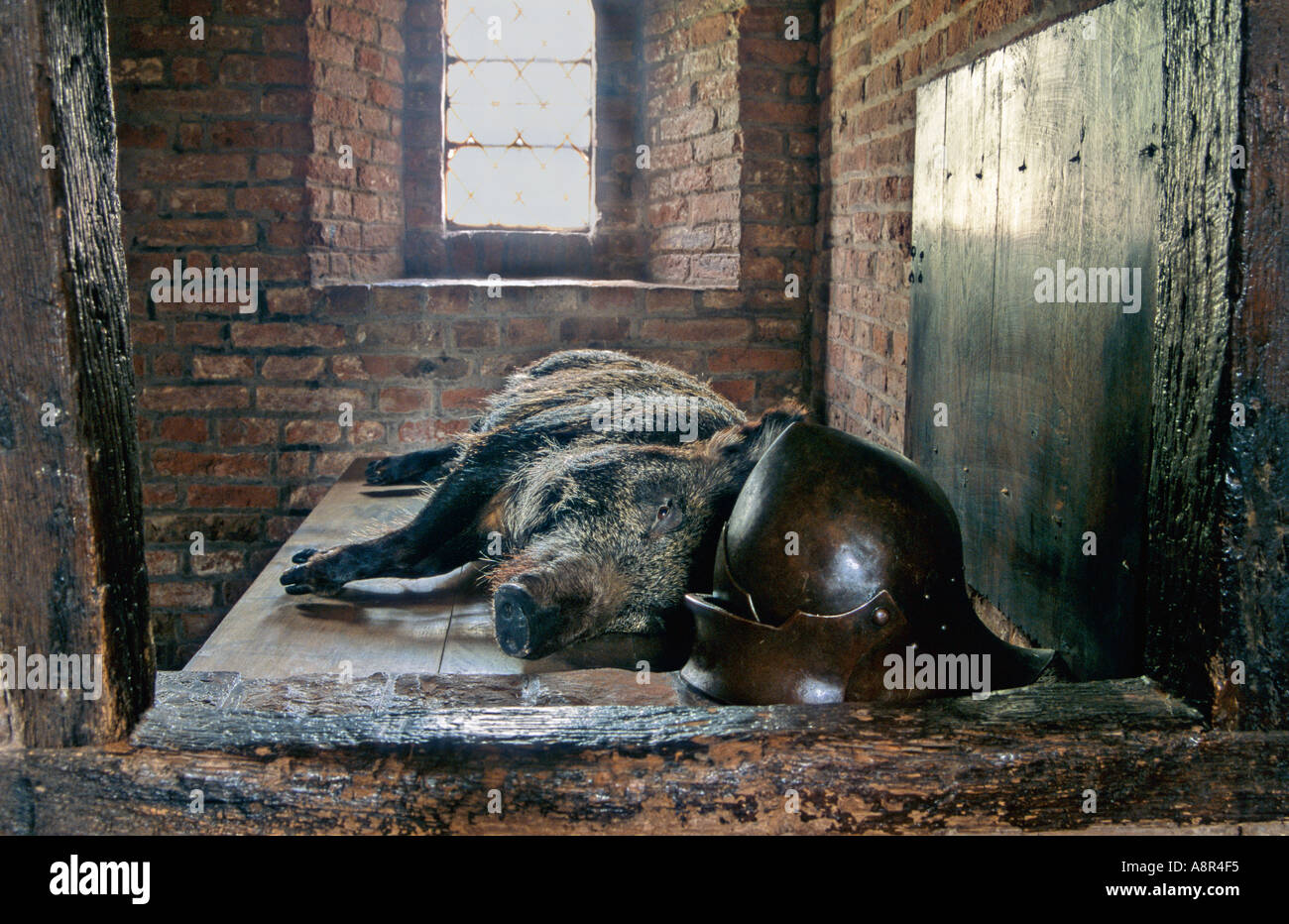 15th century kitchen hi-res stock photography and images - Alamy