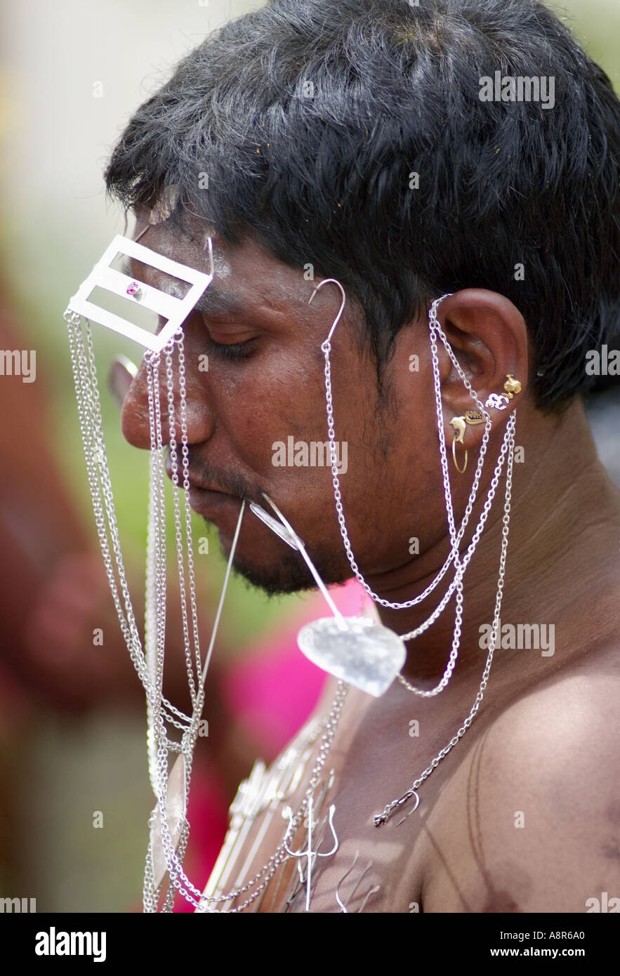 hindu festival of thaipusam cavadee Stock Photo - Alamy