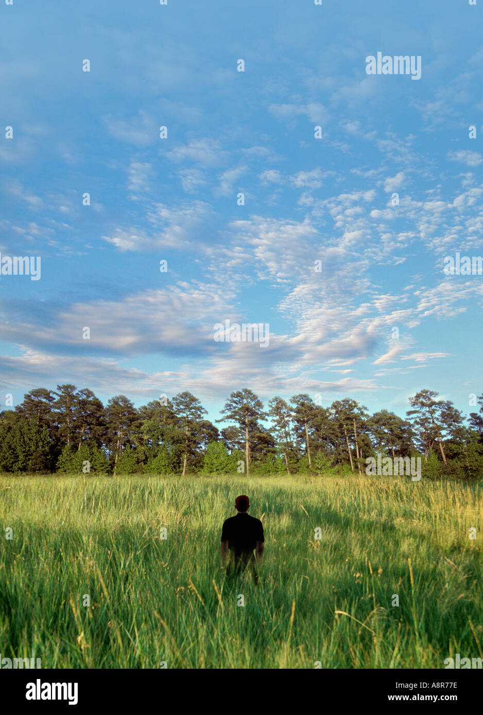 Outstanding in the field hi-res stock photography and images - Alamy