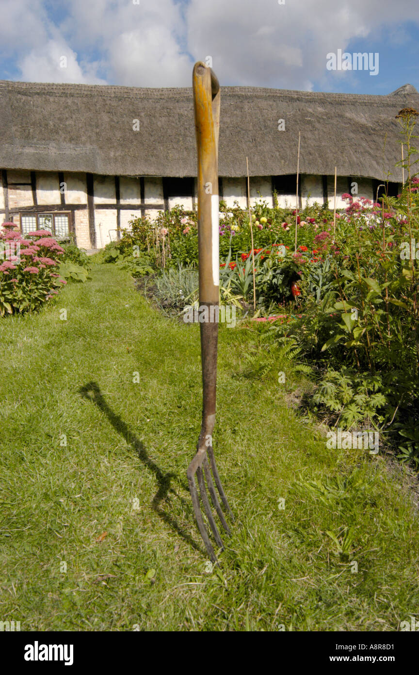 Garden fork stuck in the allotment Stock Photo - Alamy