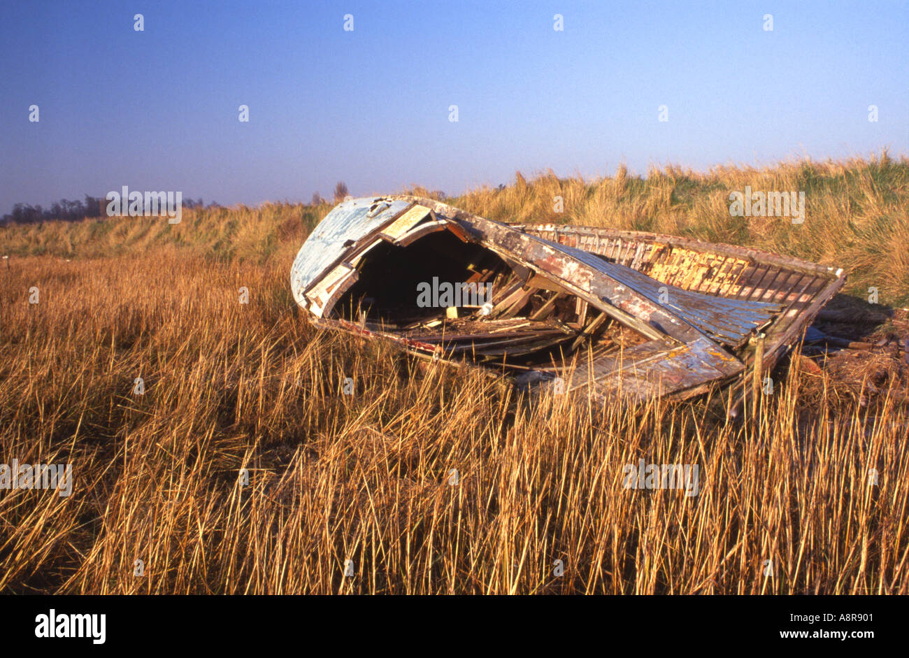 Falling apart boat hi-res stock photography and images - Alamy