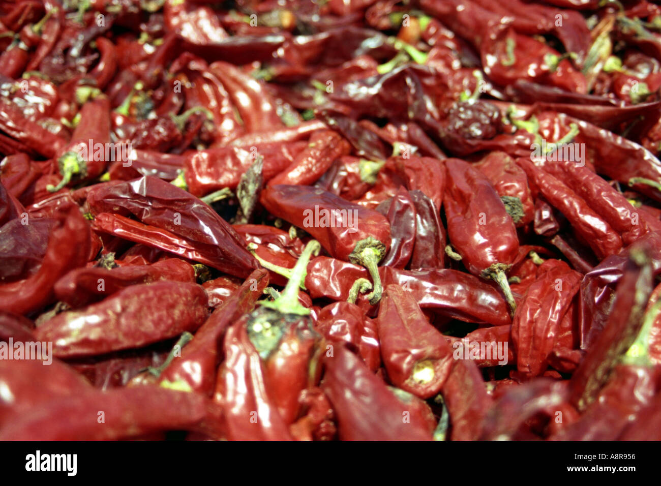 Paprika drying in the sun Stock Photo - Alamy