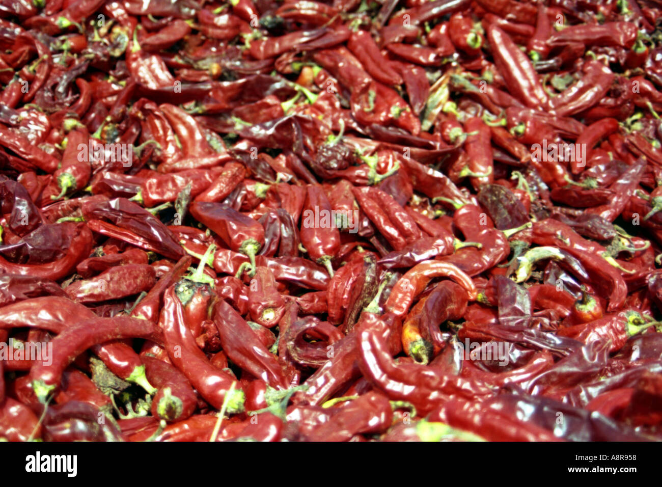Paprika drying in the sun Stock Photo - Alamy