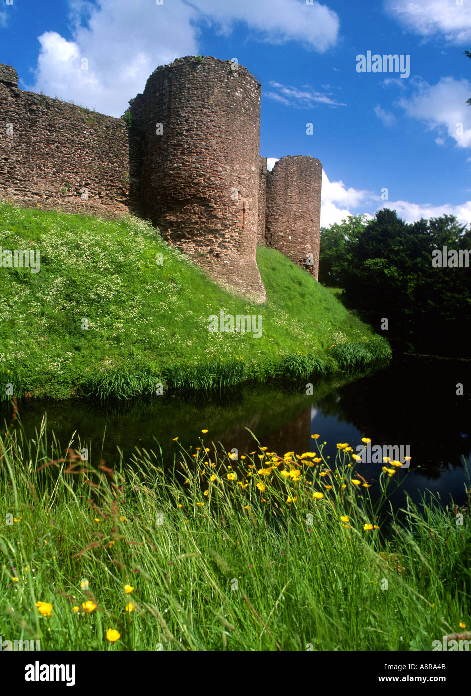 Castell gwyn hi-res stock photography and images - Alamy