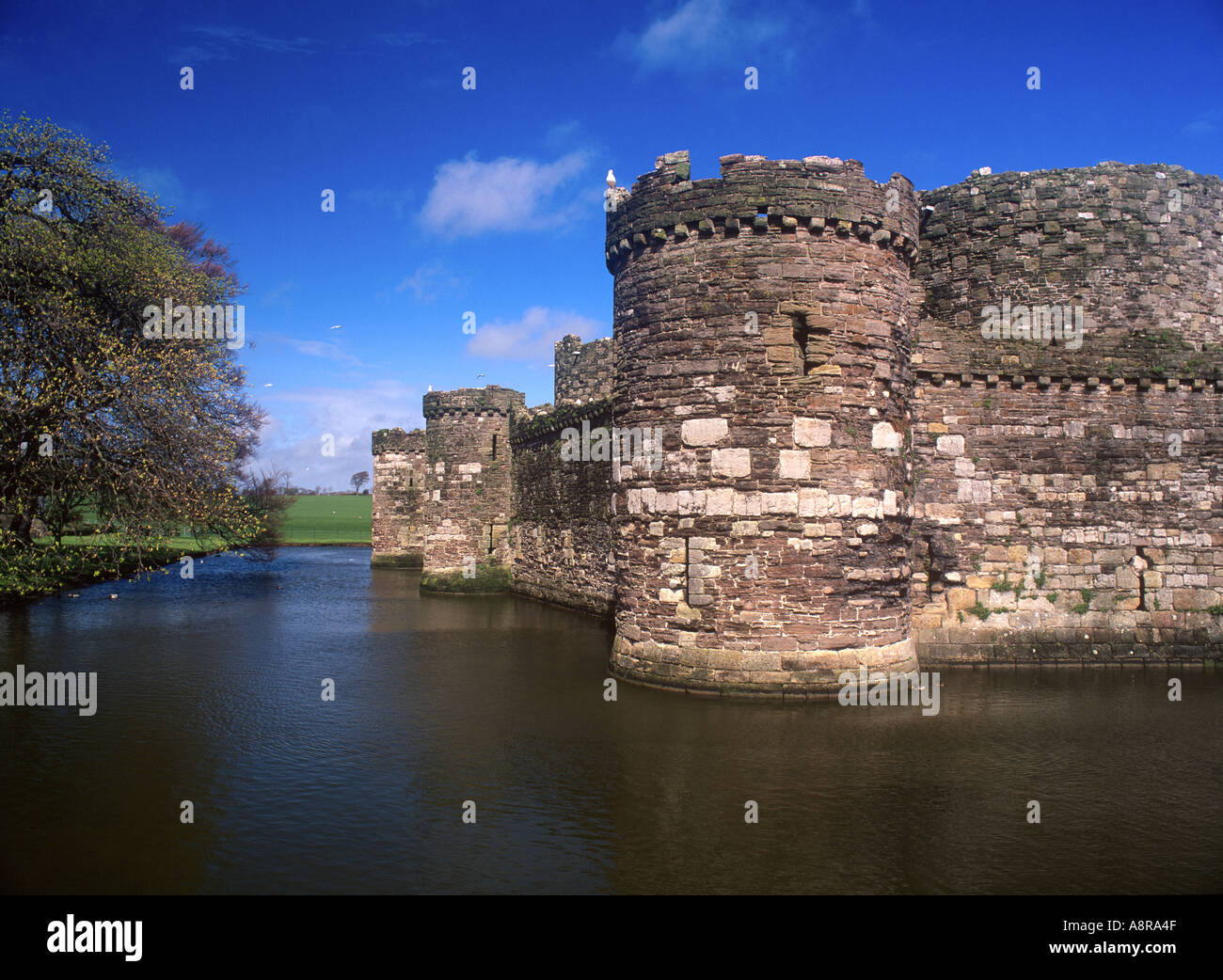 Castell gwyn hi-res stock photography and images - Alamy