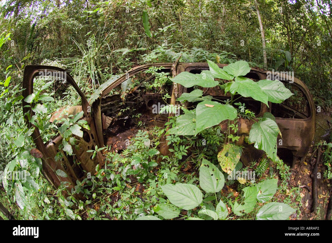 Rusting car in rainforest Panama Stock Photo - Alamy
