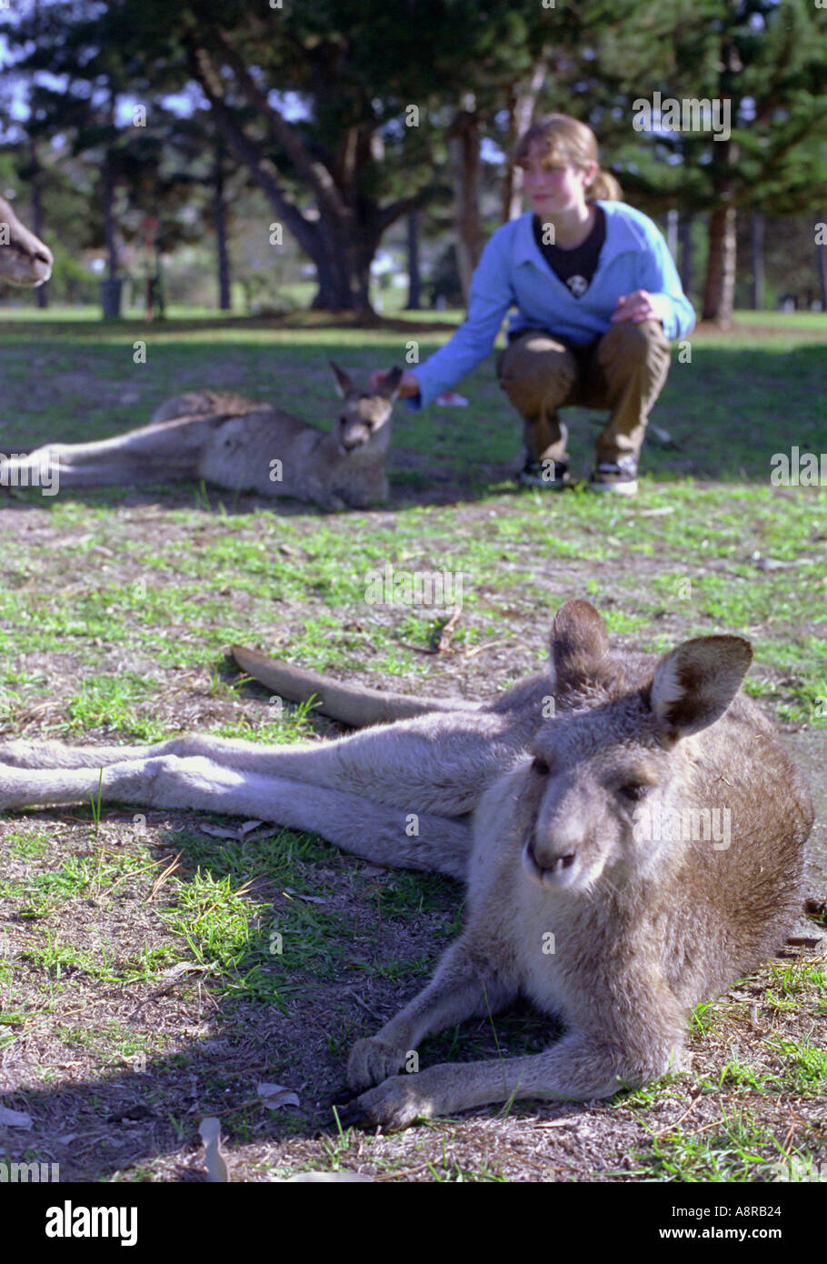 Australia kangaroo girl hi-res stock photography and images - Alamy