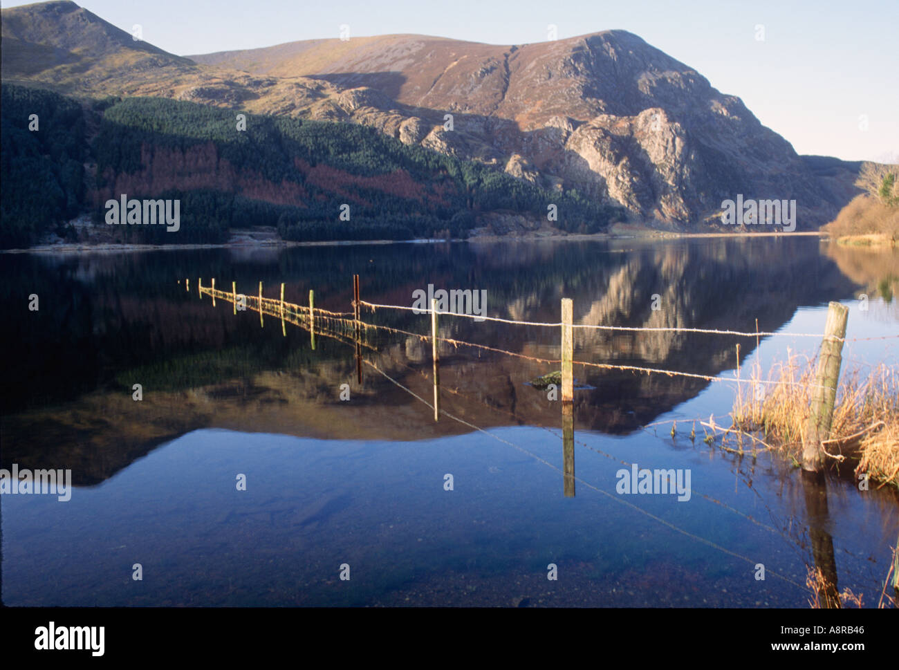 Llyn celyn gwynedd wales uk hi-res stock photography and images - Alamy