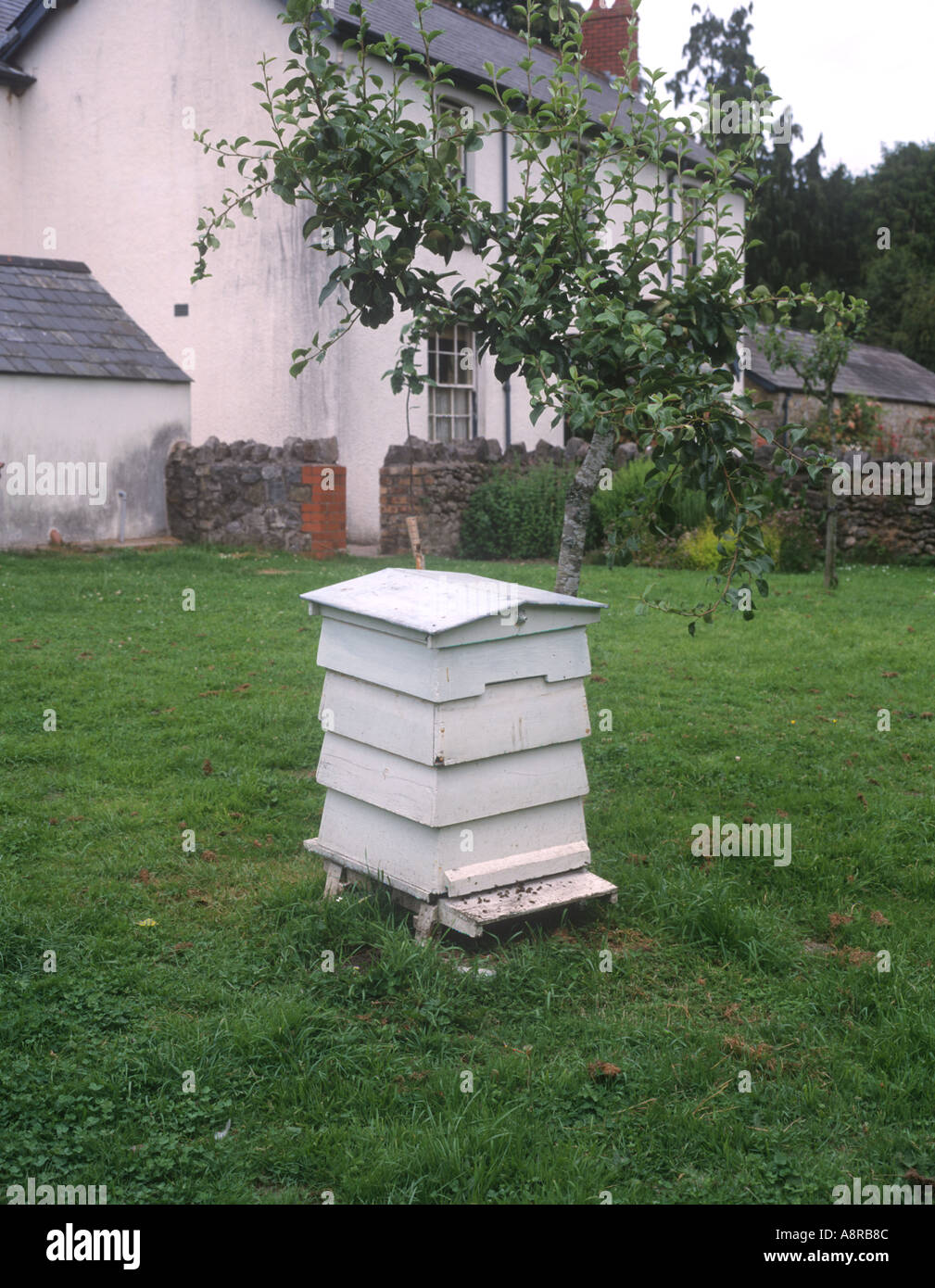 Bee house cottage hi-res stock photography and images - Alamy