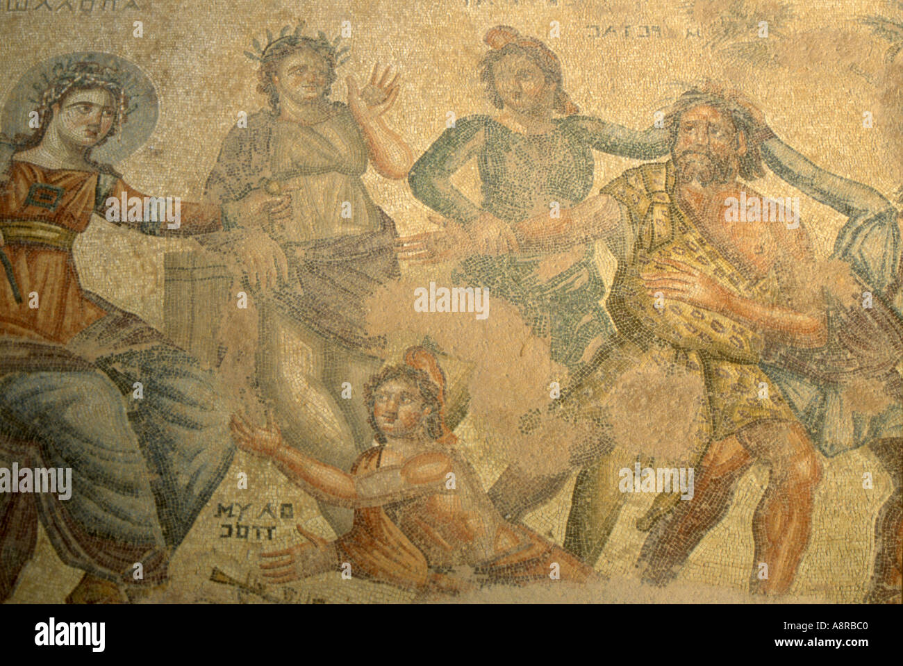 Mosaic 2 from the roman house at pathos town on Cyprus number 1730 ...