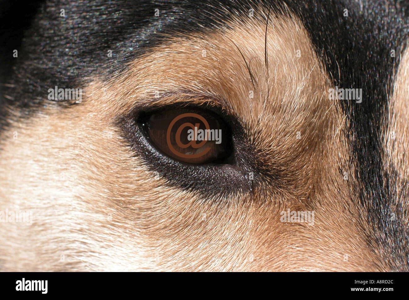 PR eye with e mail sign Stock Photo - Alamy