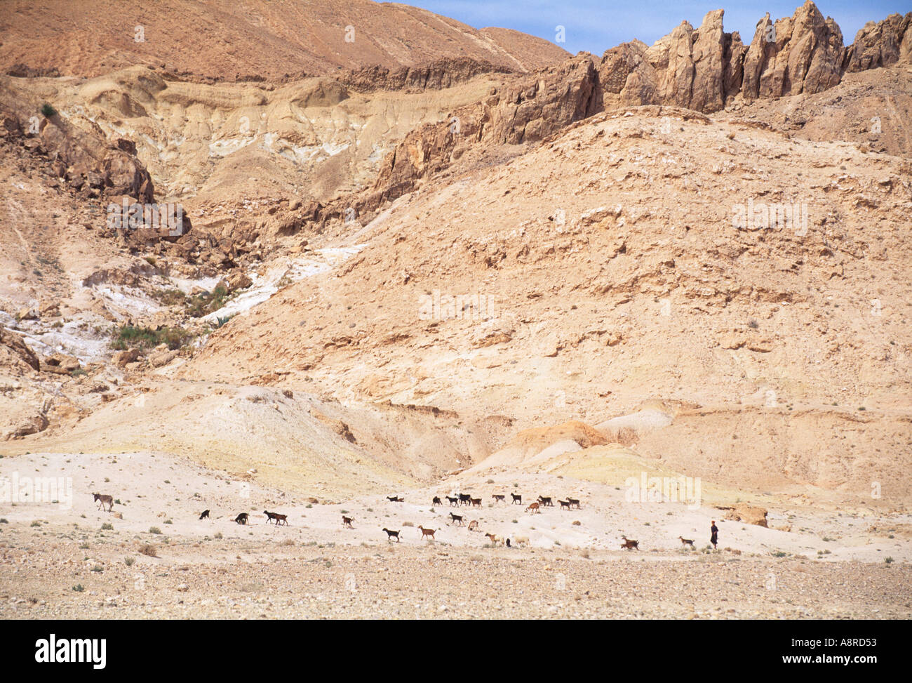 To chott el gharsa hi-res stock photography and images - Alamy