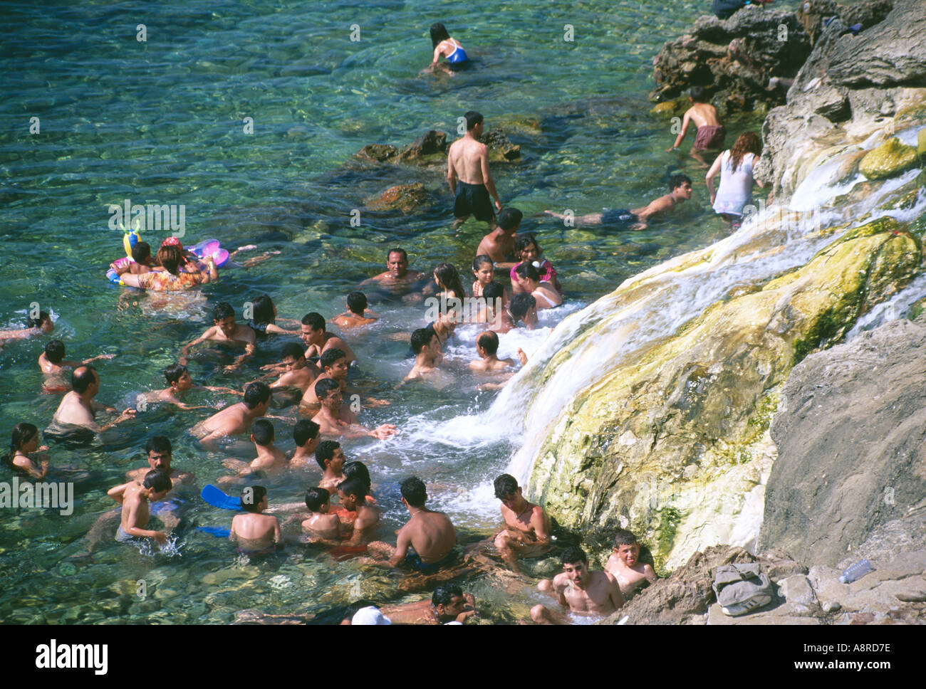 Goat bathing hi-res stock photography and images - Alamy