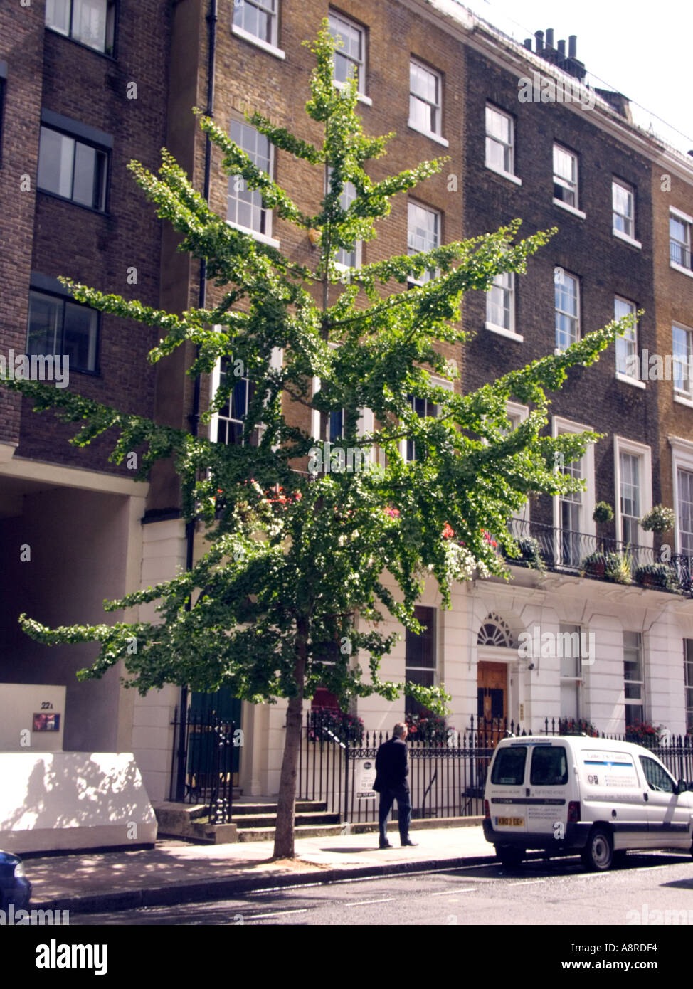 Harley Street City of Westminster London W1 England Stock Photo - Alamy