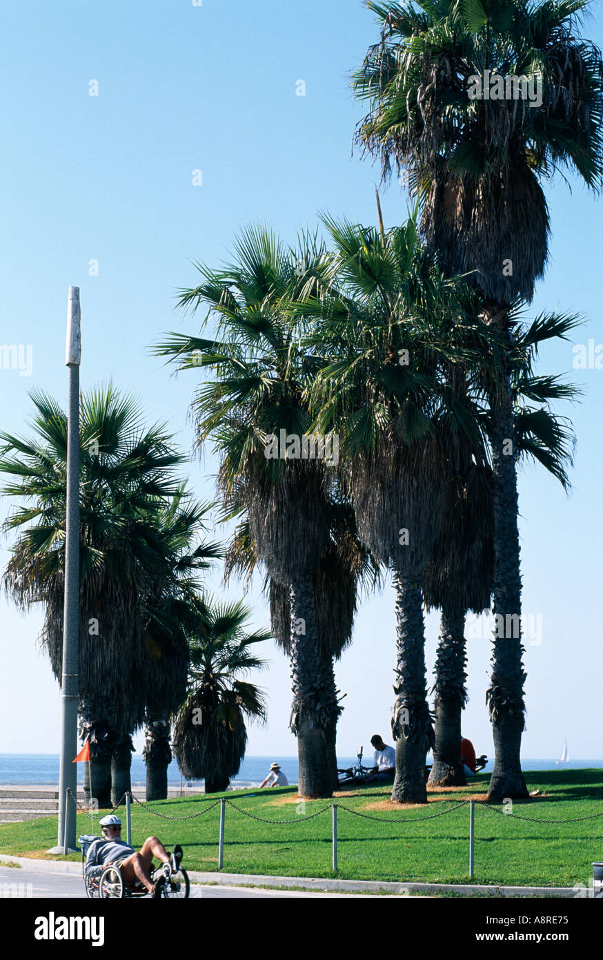 A man cycling on a type of bike you lay back on along a track in front ...