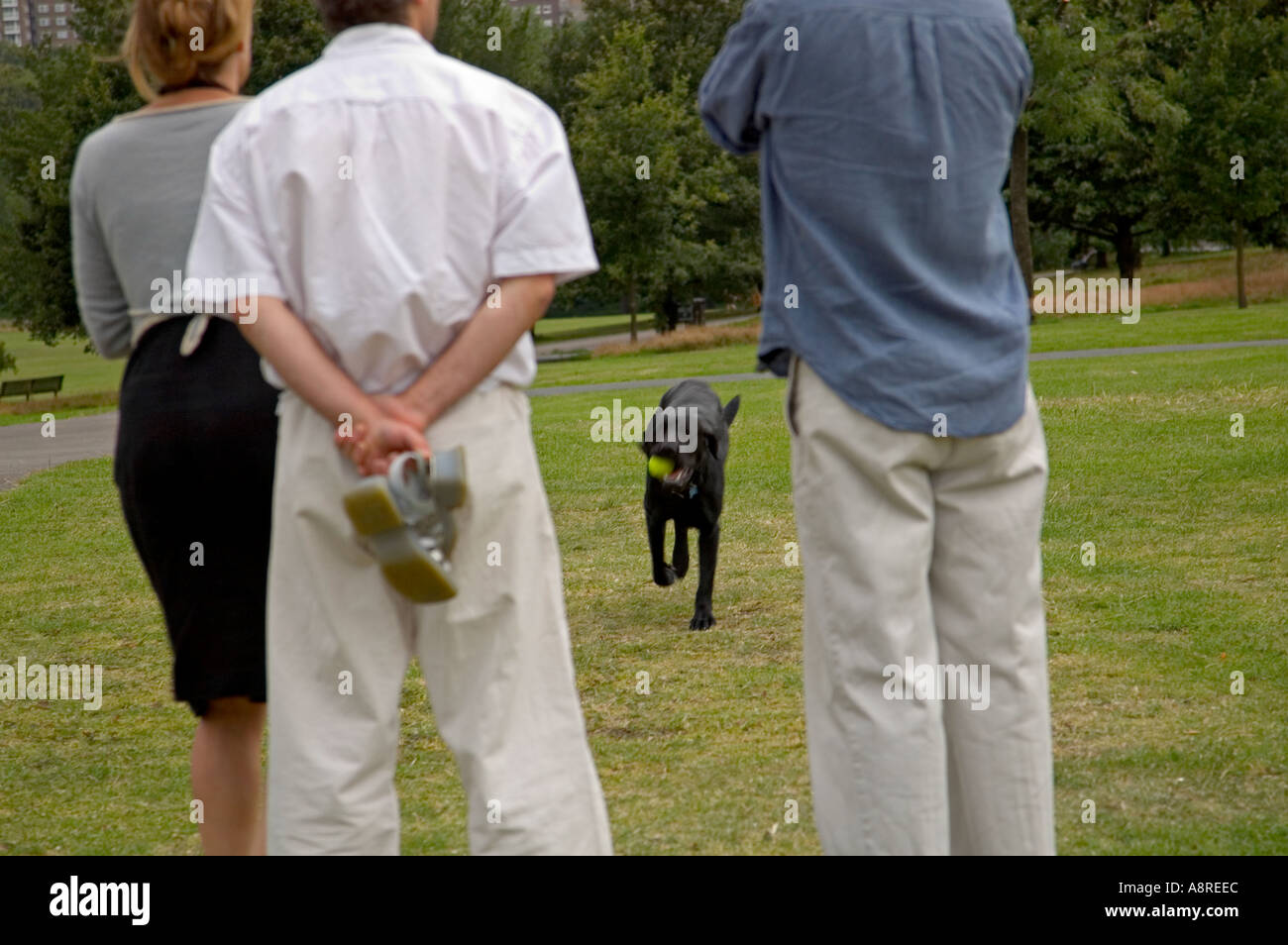 A group of people playing with their dog Stock Photo - Alamy
