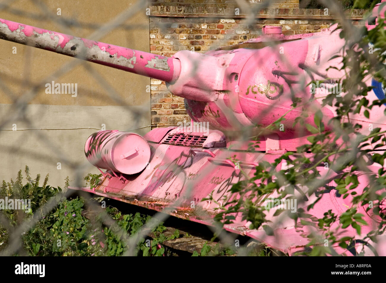 A war tank painted pink seen through a fence Stock Photo - Alamy