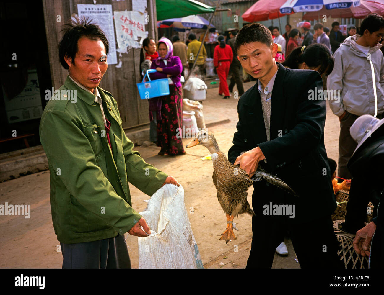 China Yunnan Menghai Market man buying ducks in bag Stock Photo - Alamy