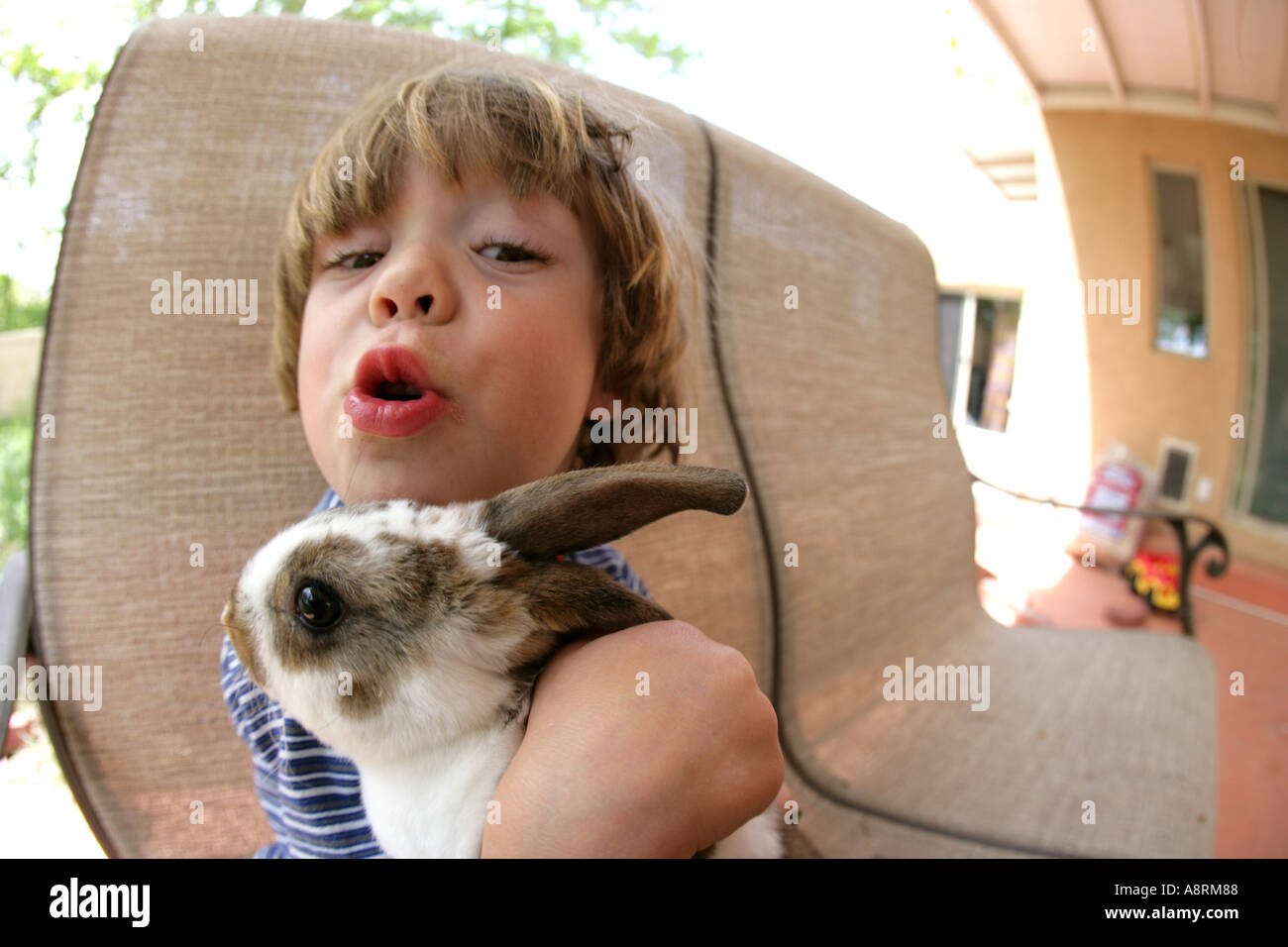 child holding rabbit Stock Photo - Alamy