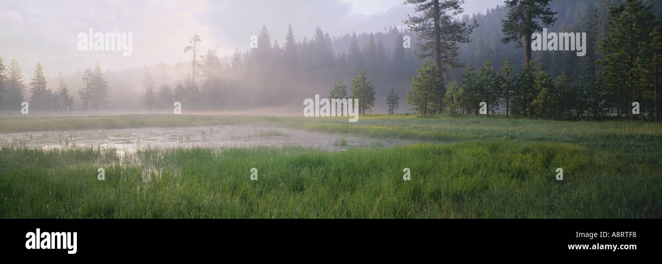 Wet converse hi-res stock photography and images - Alamy