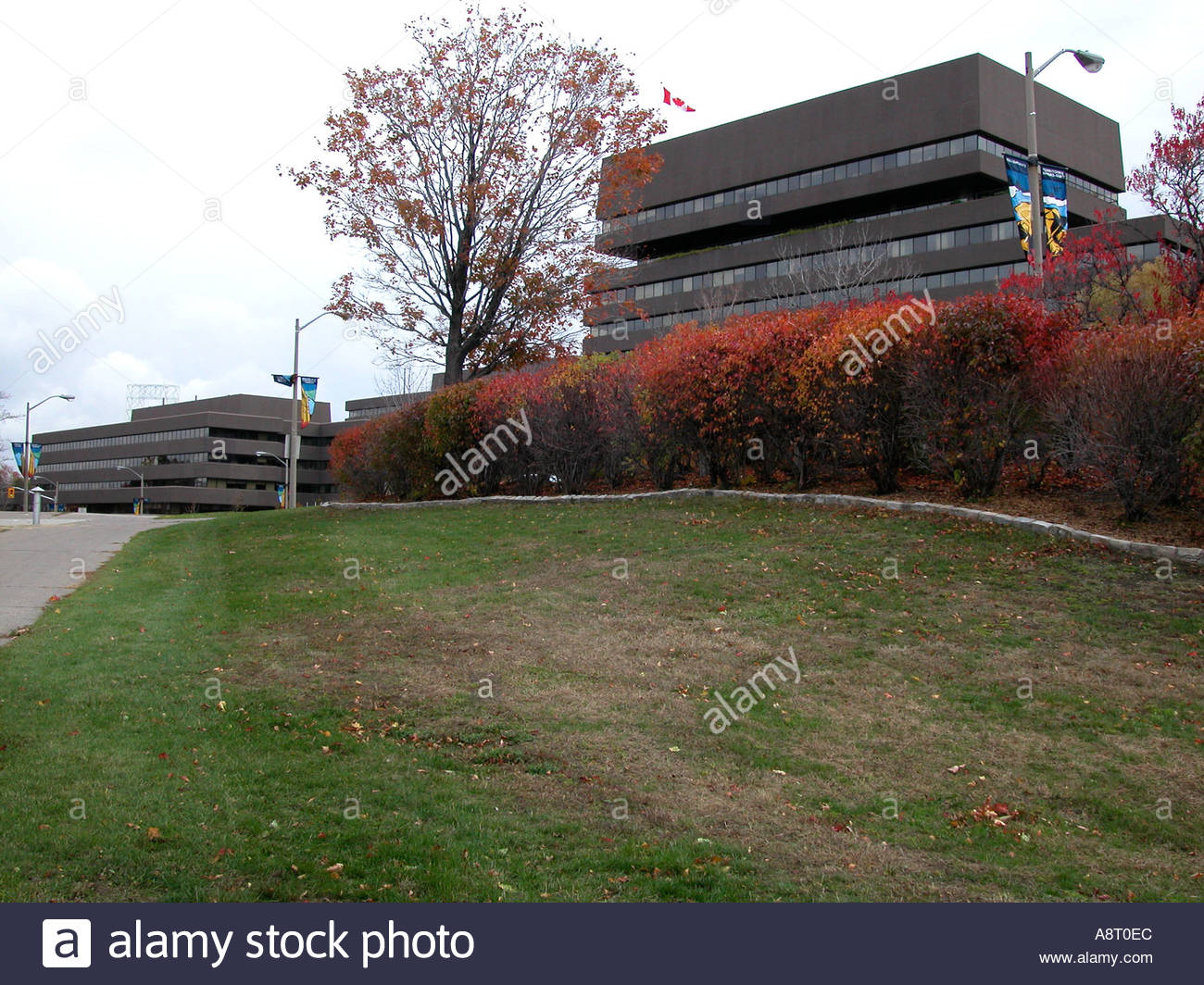 Lester B. Pearson Building High Resolution Stock Photography and Images ...