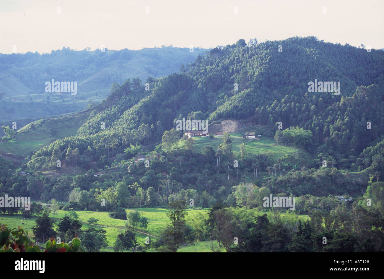 South America Colombia countryside Stock Photo - Alamy