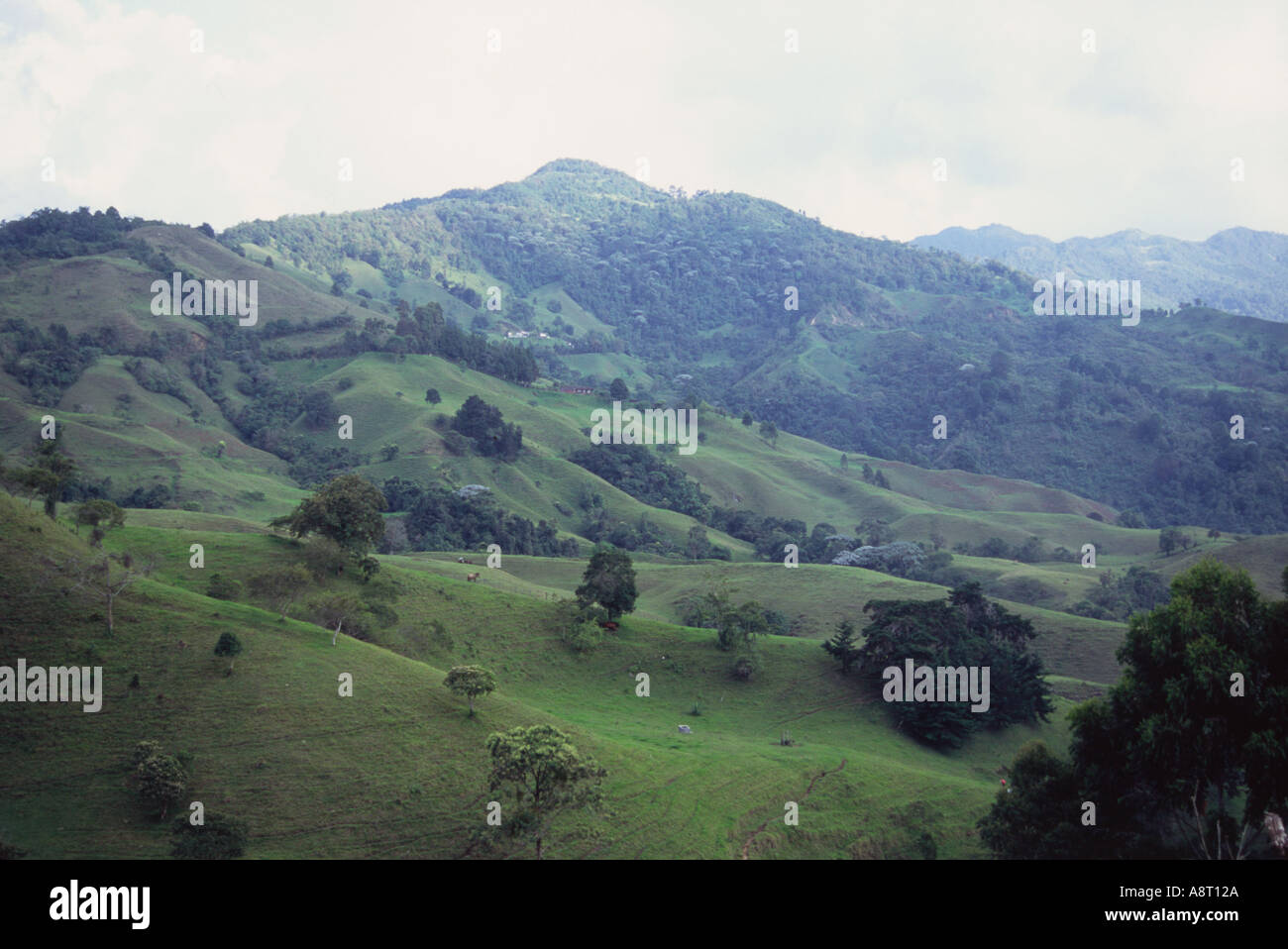 South America Colombia countryside background Scenic Stock Photo - Alamy