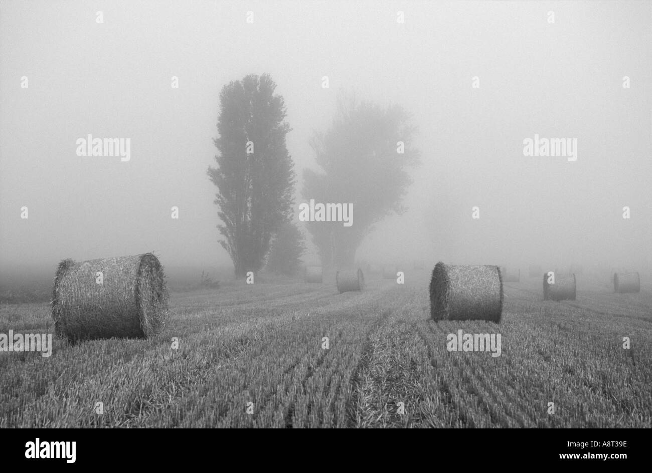 Grey morning Black and White Stock Photos & Images - Alamy
