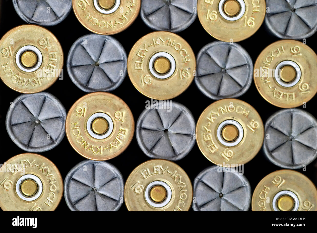 16 Gauge Vintage Eley Kynoch Paper Cartridges No 6 shot Stock Photo - Alamy