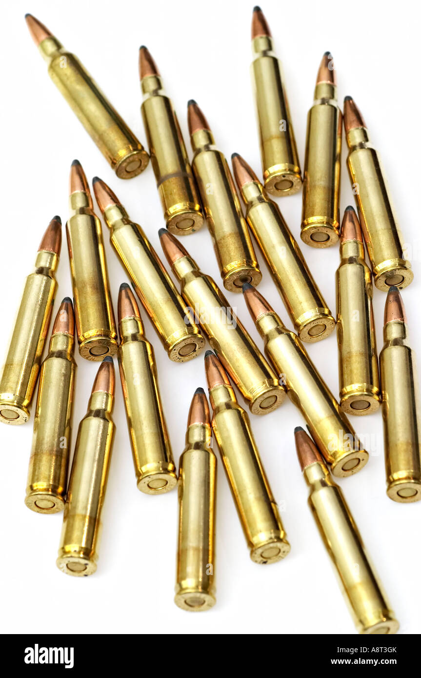 223 Pointed Soft Point PSP Cartridges similar to but not 5 56x45mm ...