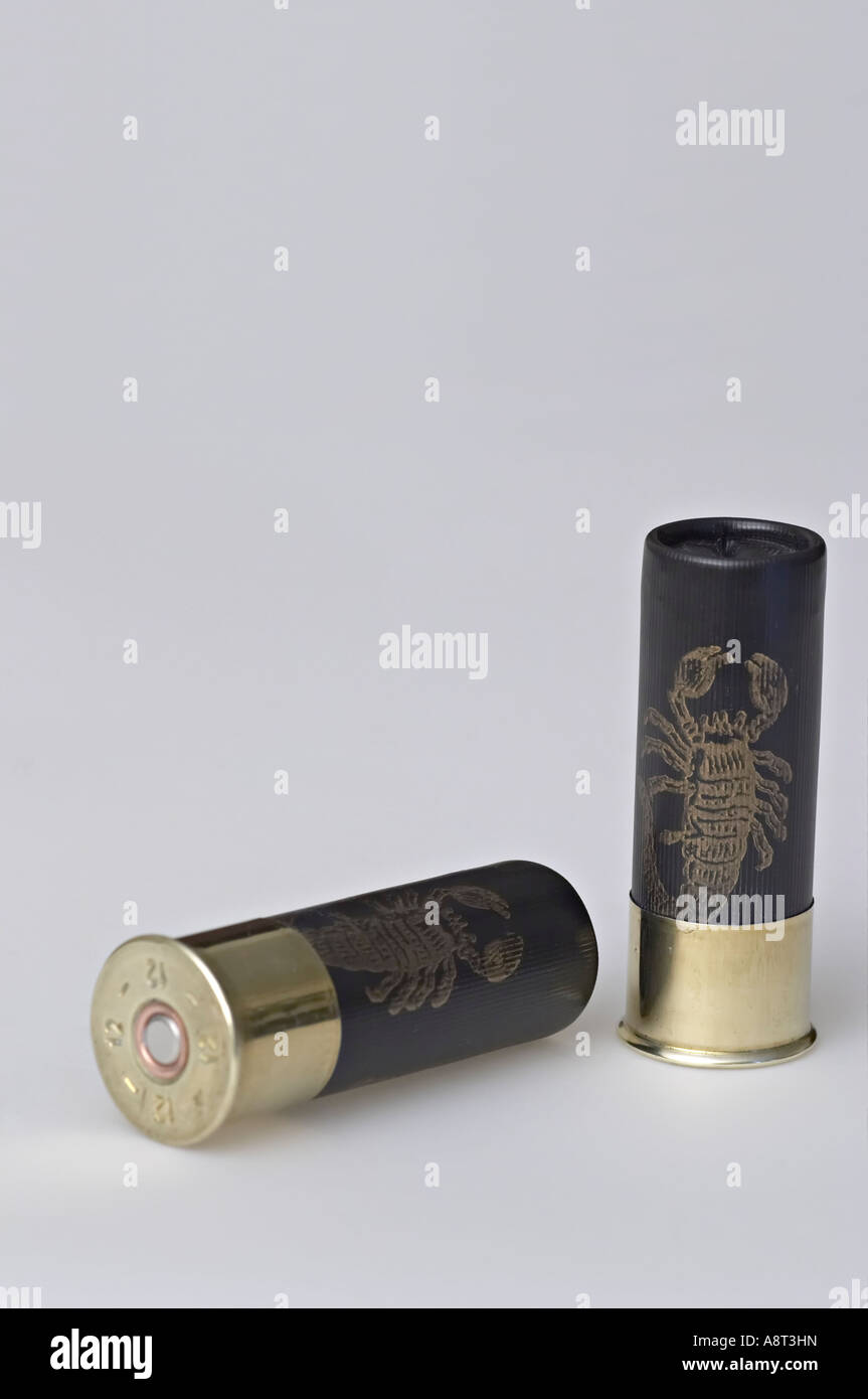 12 gauge hi-res stock photography and images - Alamy