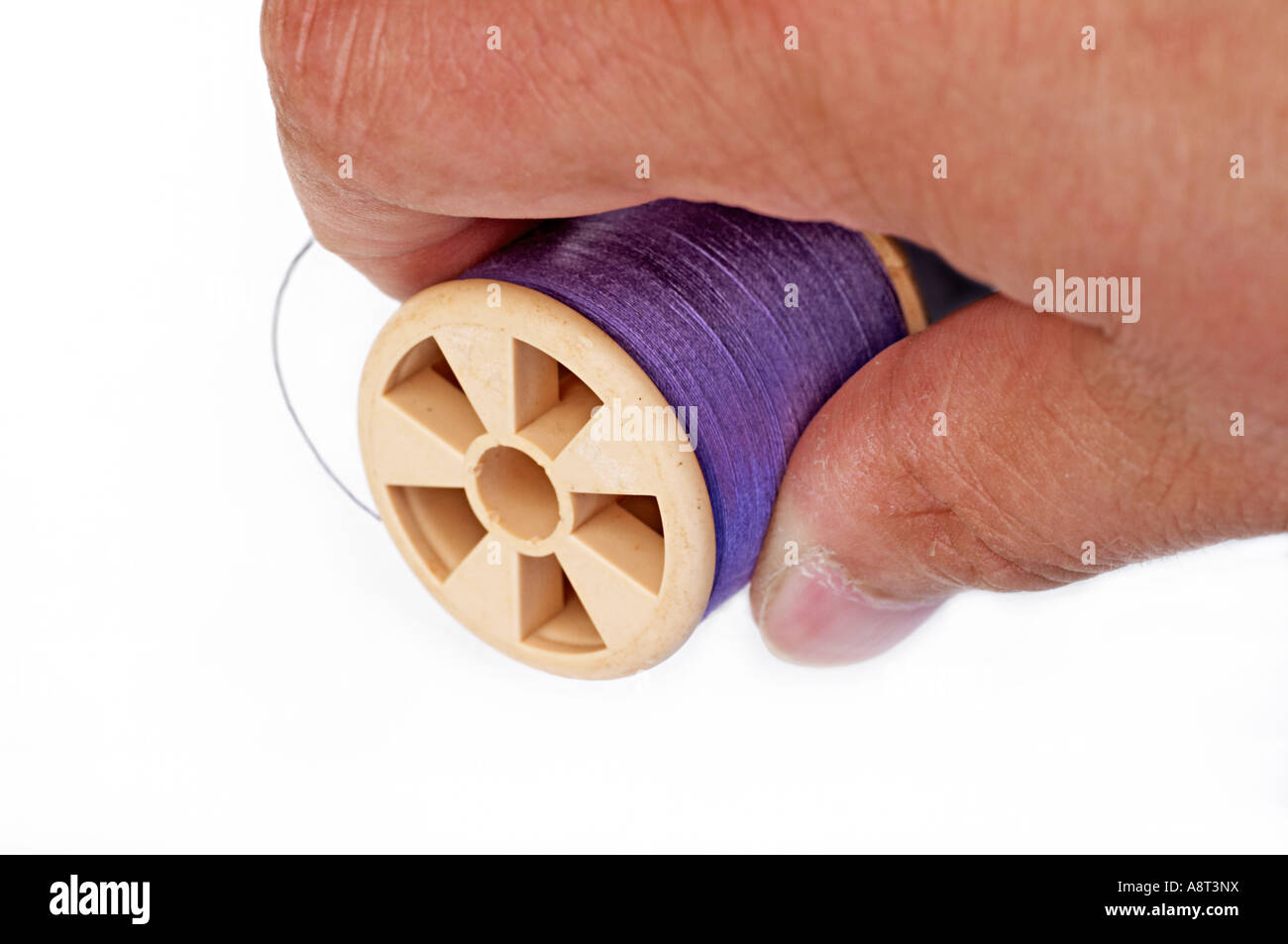 Hand Holding Spool of Dark Lilac Mercerised Cotton Thread Made In ...