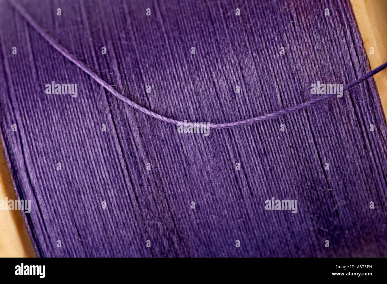 Spool of Dark Lilac Mercerised Cotton Thread Stock Photo - Alamy