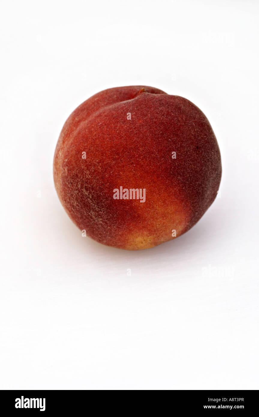 Tropical sydney home hi-res stock photography and images - Alamy