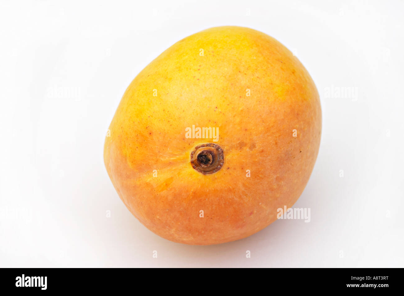 Tropical sydney home hi-res stock photography and images - Alamy