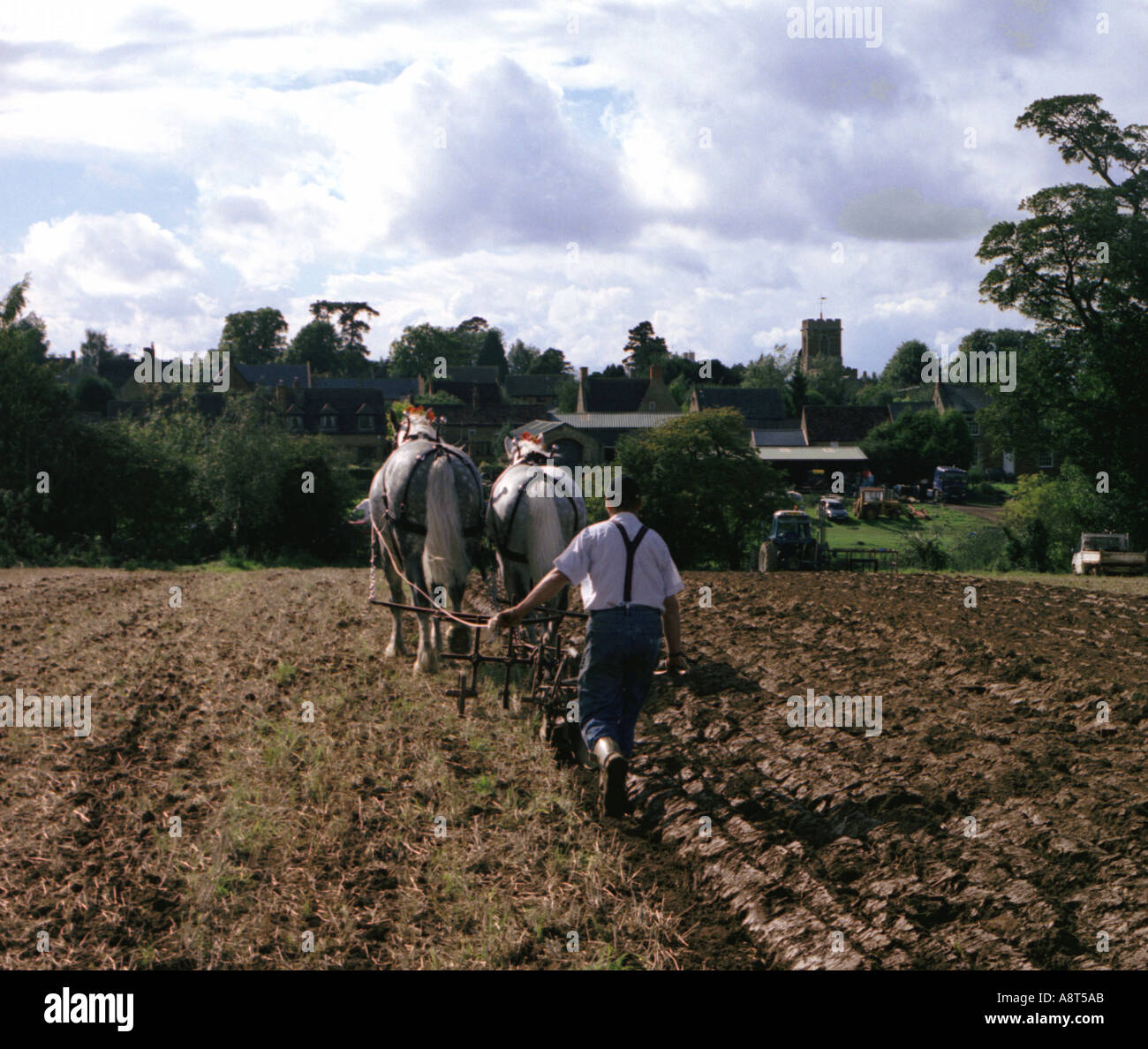 Ploughing the Traditional Way Stock Photo - Alamy