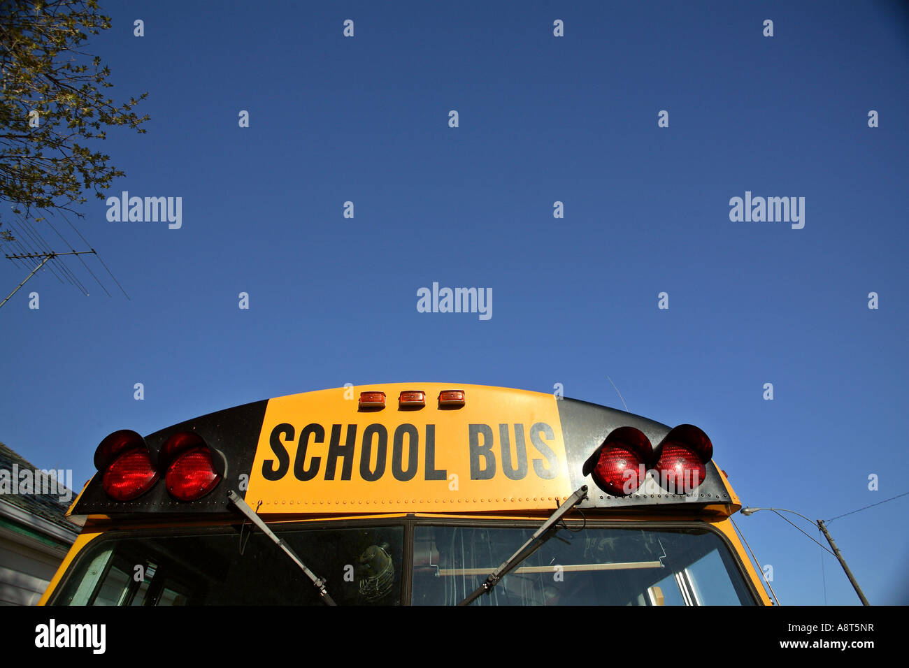 Signal lights on school bus Stock Photo - Alamy