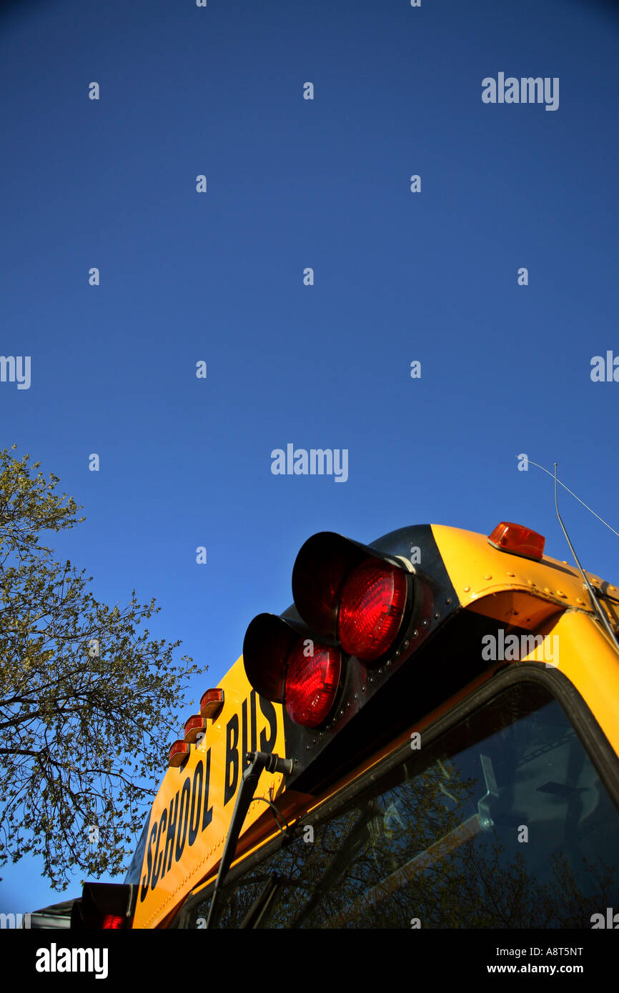 Signal lights on school bus Stock Photo - Alamy