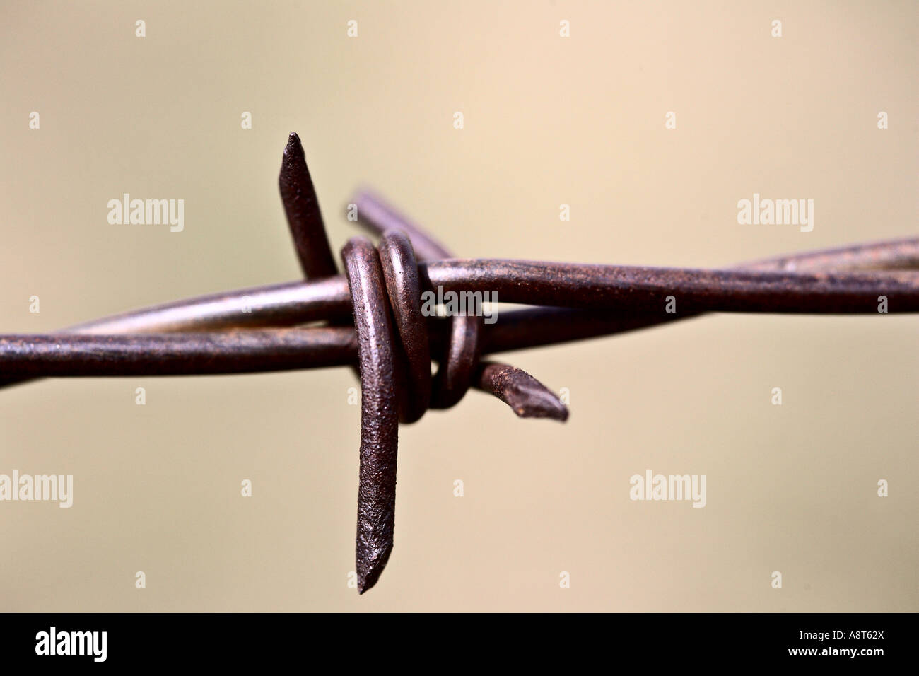 Strand of wire hi-res stock photography and images - Alamy