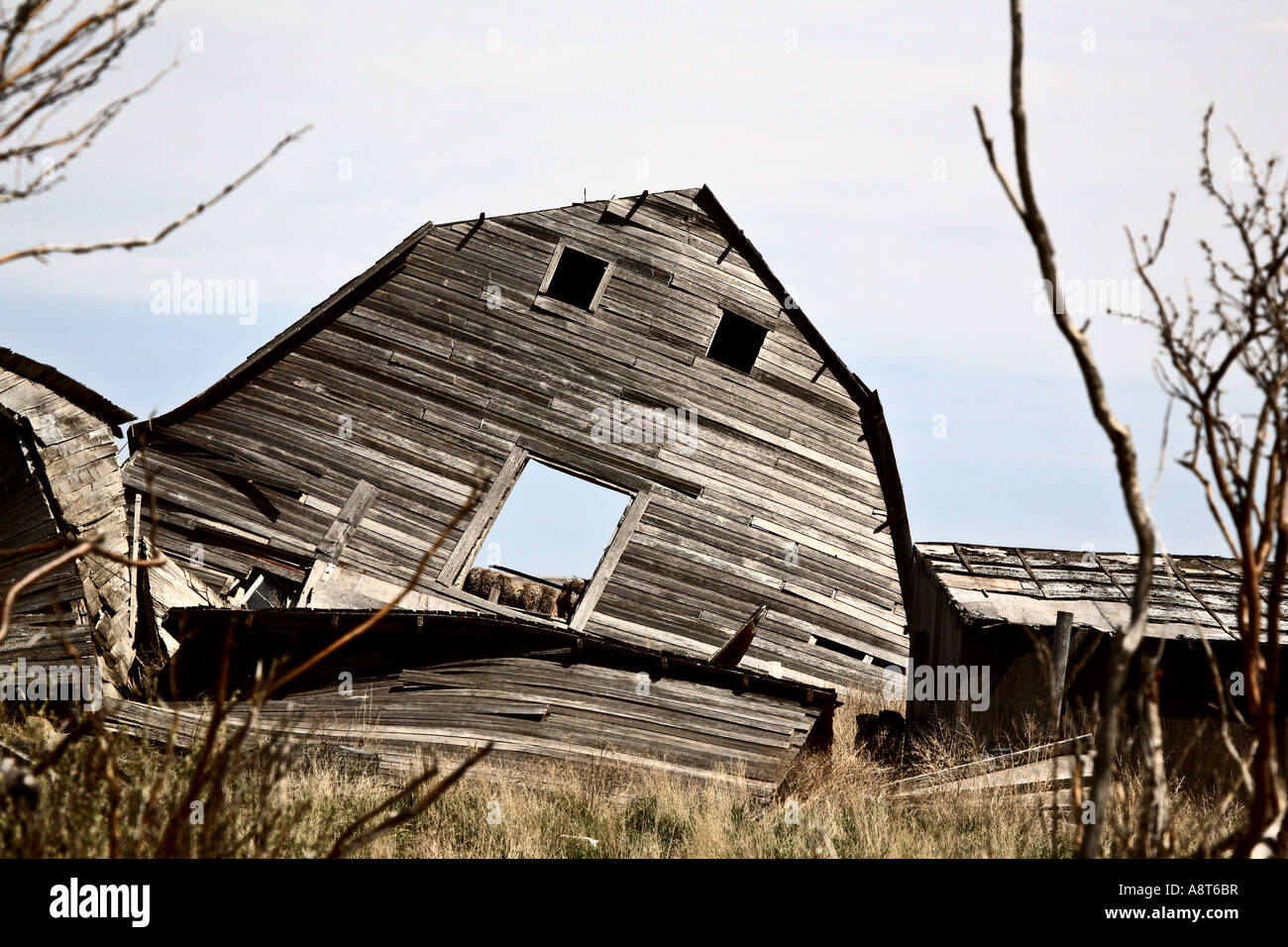 Collapsed old barn in scenic Saskatchewan Stock Photo - Alamy