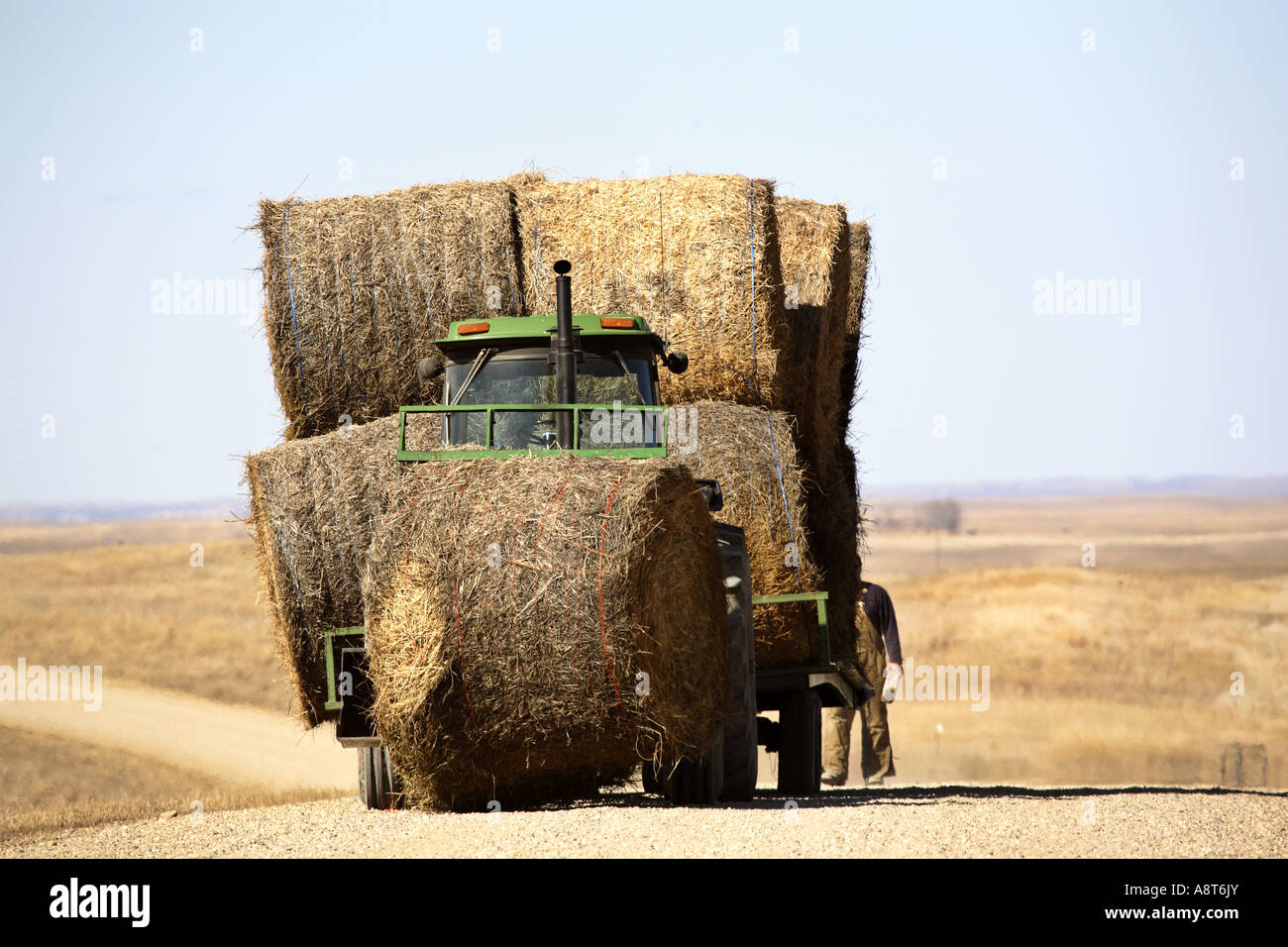 Tractor hauling hay bales along country road Stock Photo - Alamy