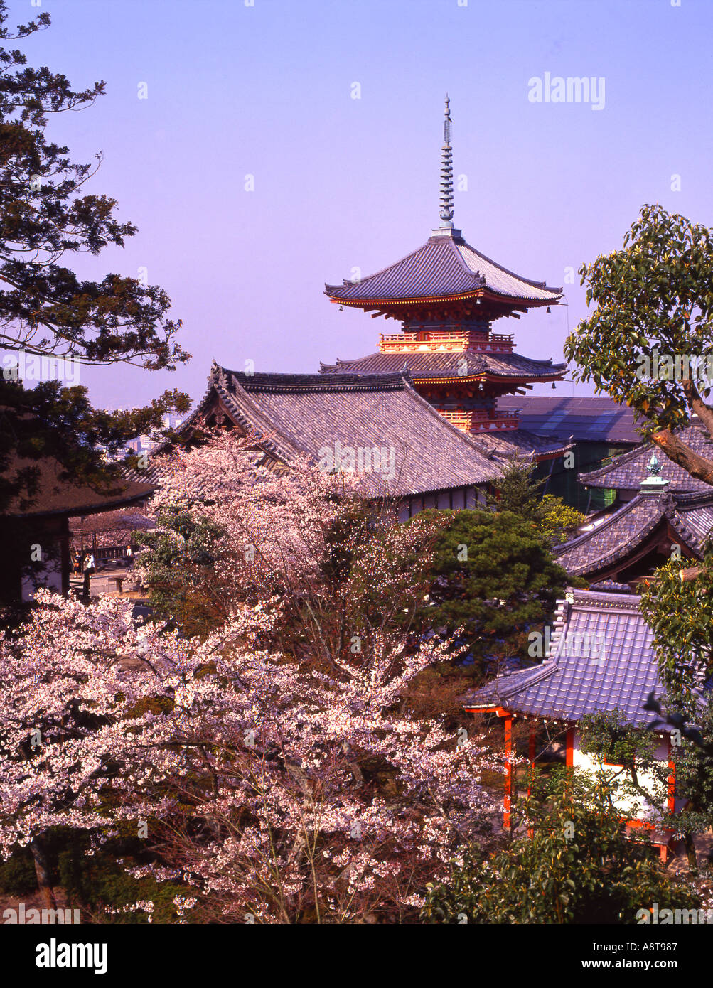 Japan Kyoto Kiyomizu Temple Stock Photo - Alamy