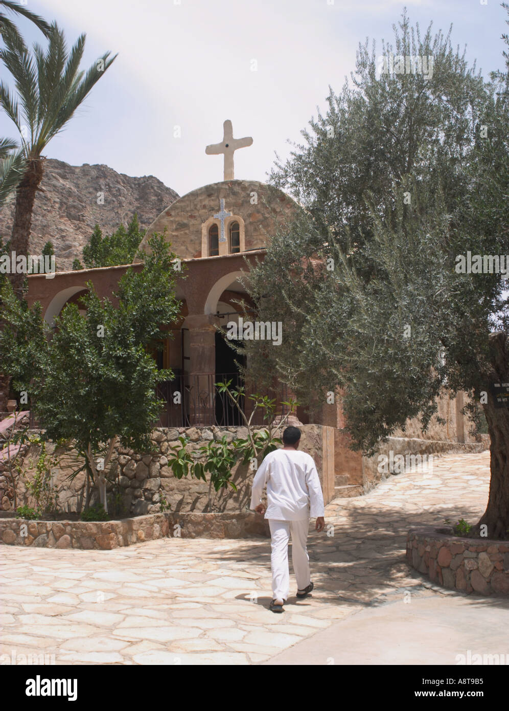The Monestry of Moses at the Oasis of Feiran Sinai Peninsula Egypt ...