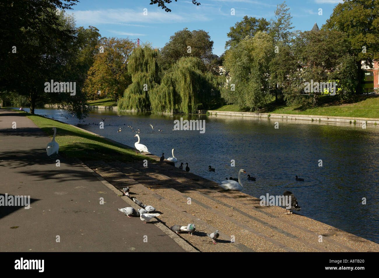 Cambridge England River Swan High Resolution Stock Photography and ...