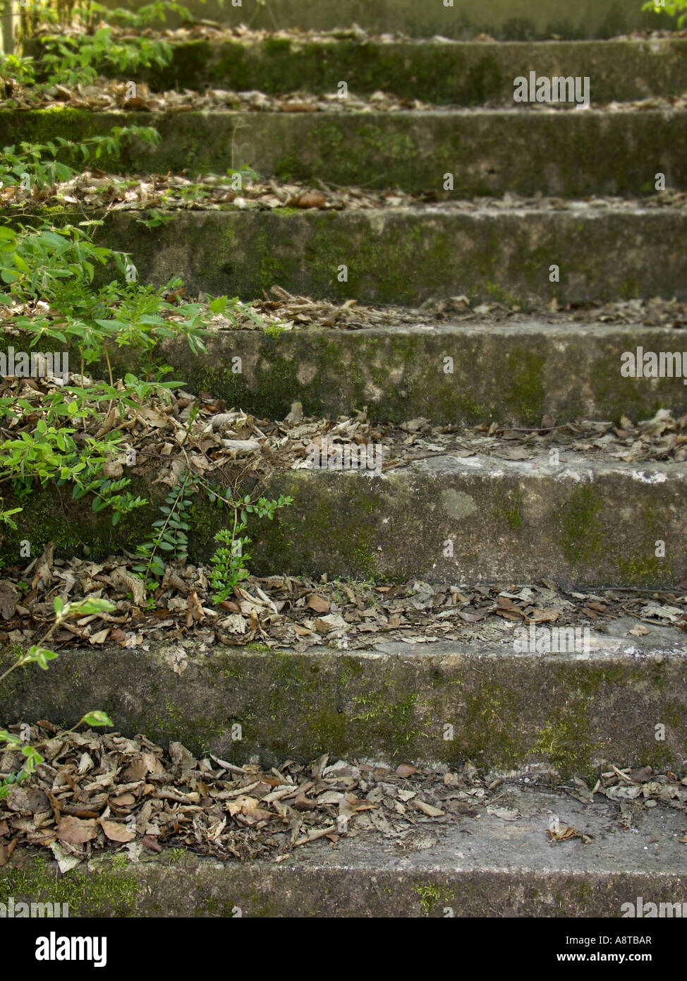 Symbolisms symbolic stairs stairway stairways staircase staircases hi ...